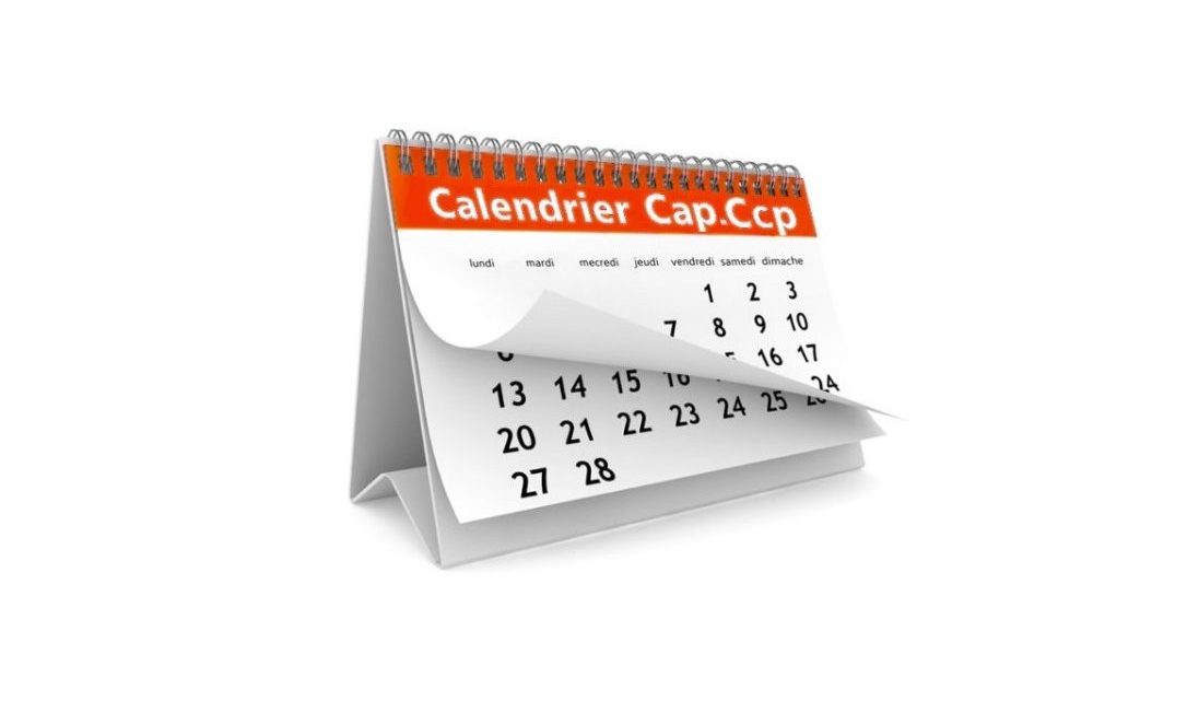 Commissions administratives paritaires - CAP et Commission consultative ...